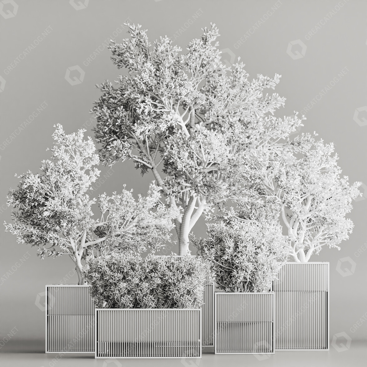 Potted Plants Indoor Set 101 Dry 3D model - GreatCatalog 45003