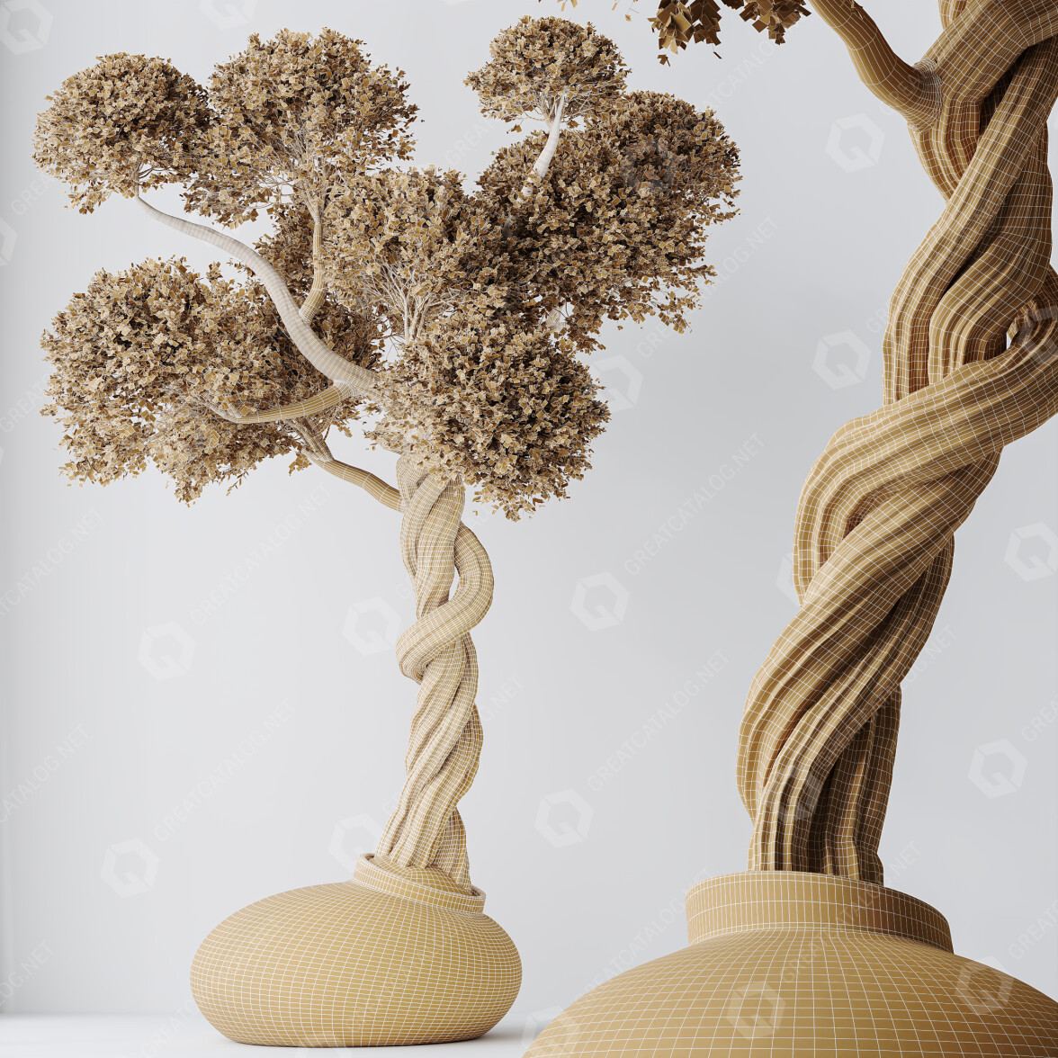 Bonsai Tree HQ House Plants Ficus Retusa Microcarpa Ginseng 05 3D model ...