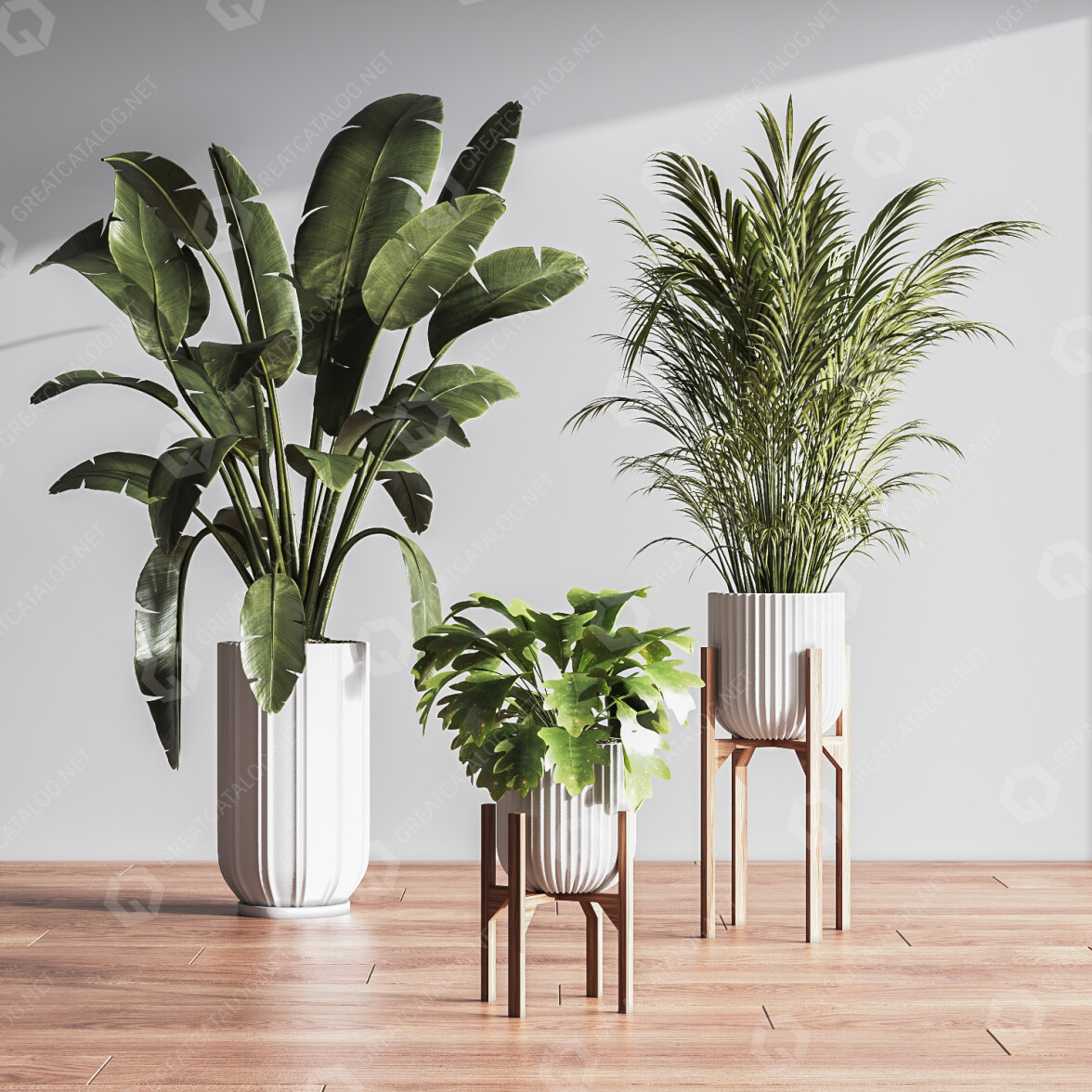 Potted Plants Indoor Set 055 3D model - GreatCatalog 45154