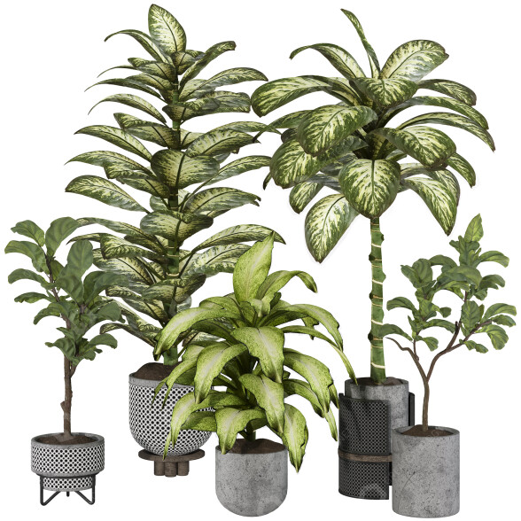 Potted Plants Collection Set 215 3D model #45257 | GreatCatalog