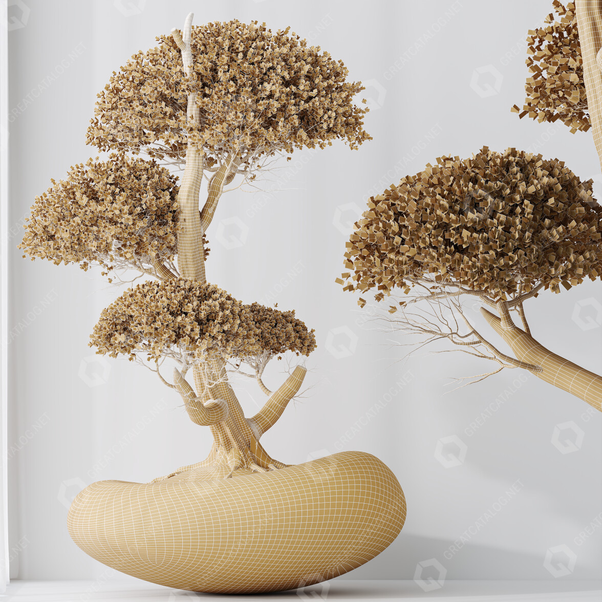 Bonsai Tree HQ House Plants Ficus Retusa Microcarpa Ginseng 07 3D model ...
