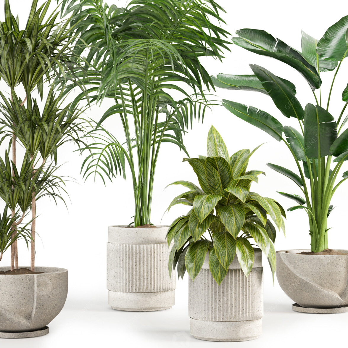 Potted Plants Indoor Collection - Set 0039 3D model - GreatCatalog 45622