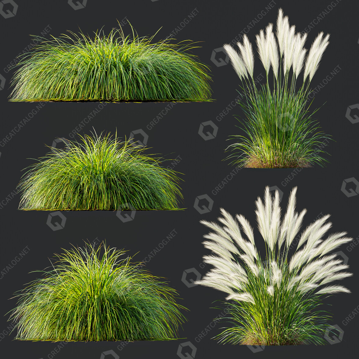 Grass Set 01 3D model・Download 3D models・Great Catalog - GreatCatalog 45766