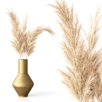 Pampas grass 3D models - GreatCatalog