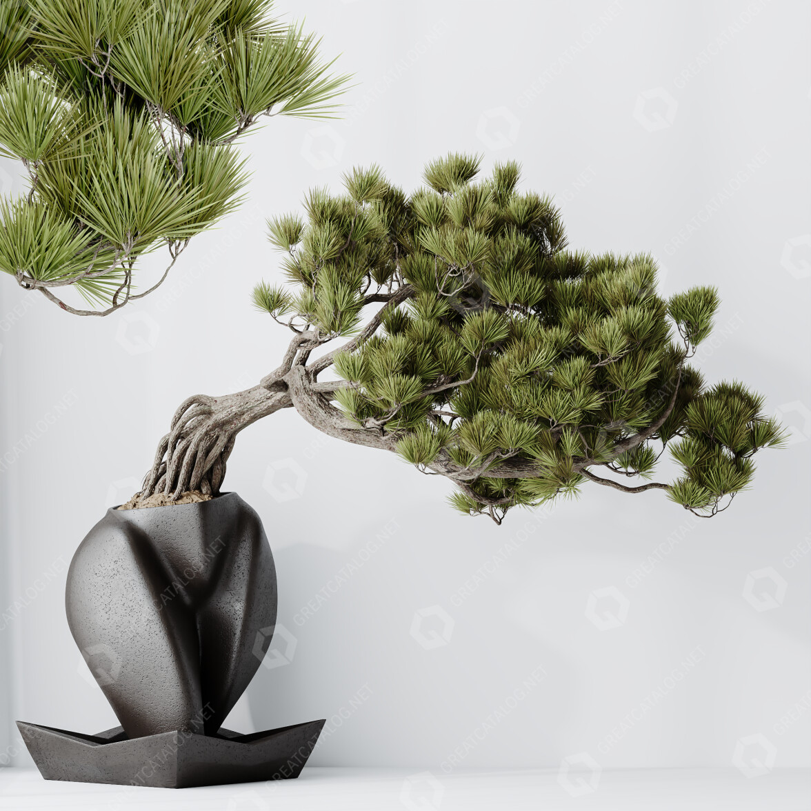 Bonsai Tree HQ House Plants Pinus Pentaphylla Thunbergii 06 3D model ...