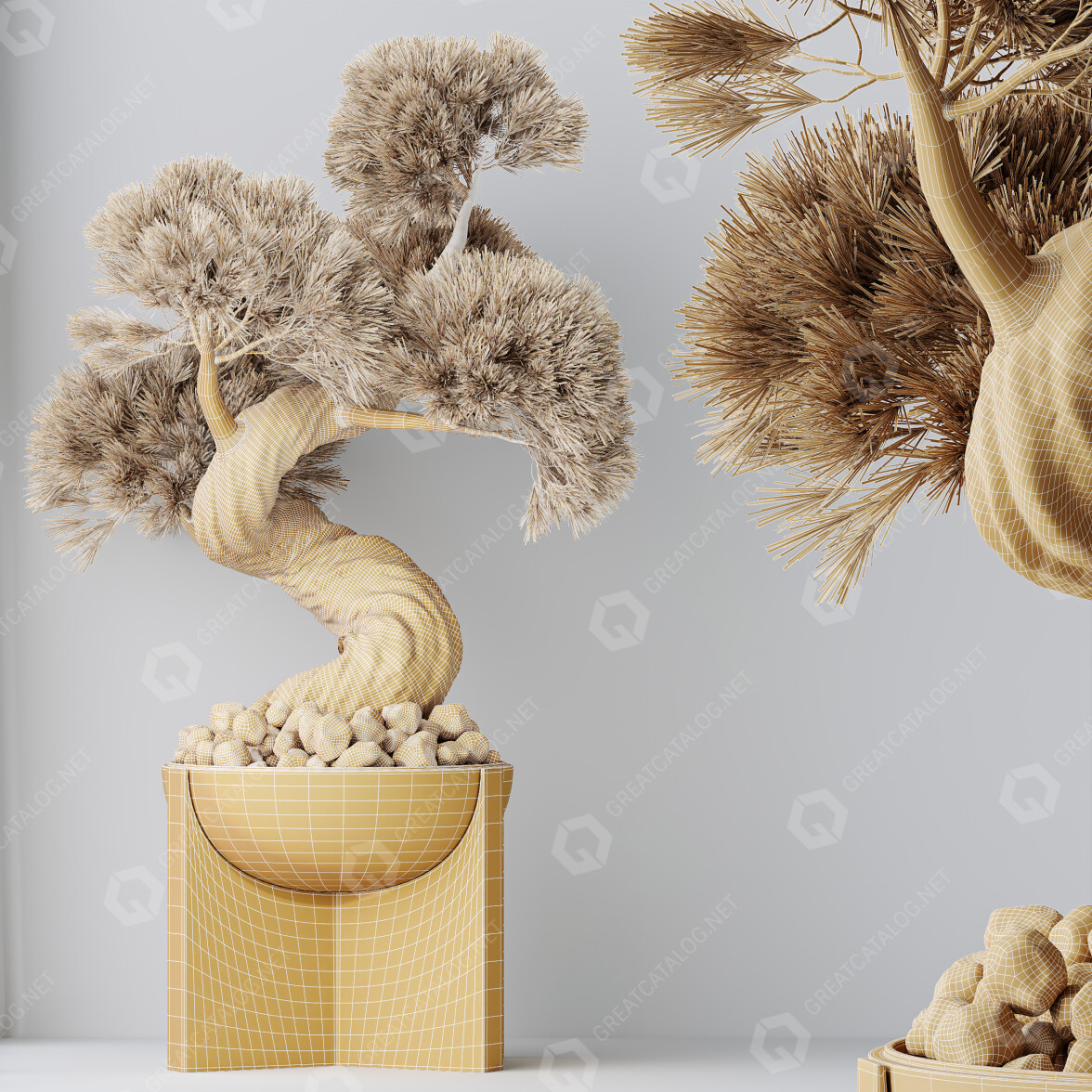 Bonsai Tree HQ House Plants Pinus Pentaphylla Thunbergii 04 3D model