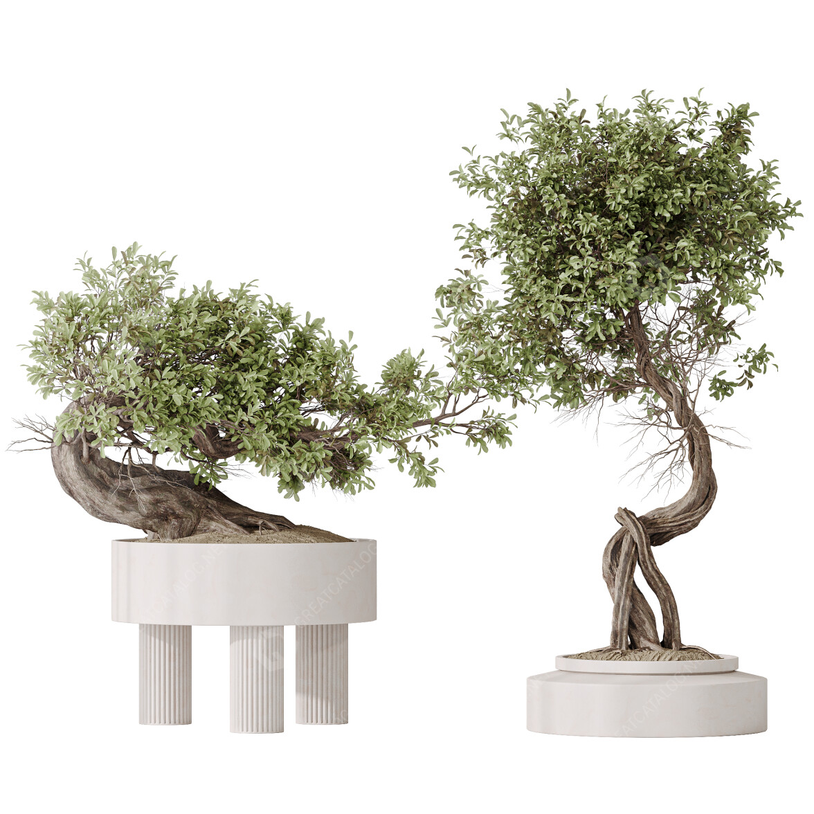 Bonsai Trees Indoor Plant Set 12 3D model - GreatCatalog 47089