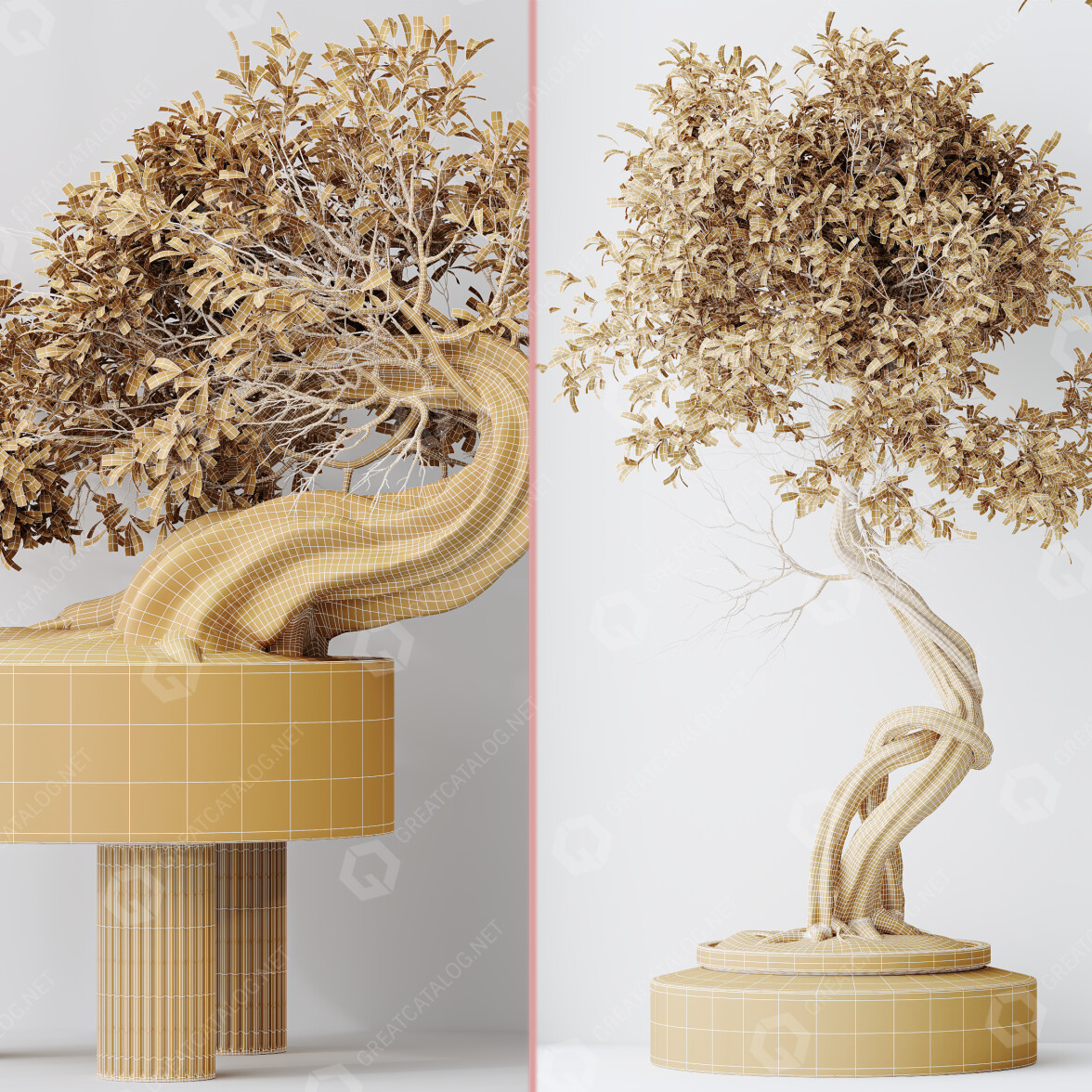 Bonsai Trees Indoor Plant Set 12 3D model - GreatCatalog 47089
