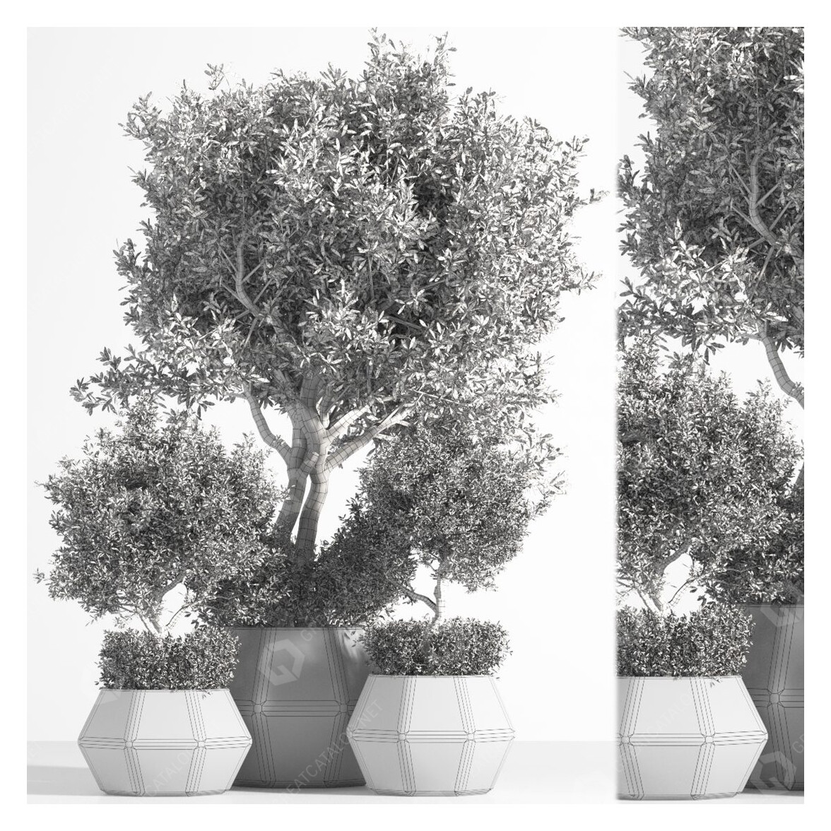 Potted Plants Indoor Tree 3 3D model・Download 3D models