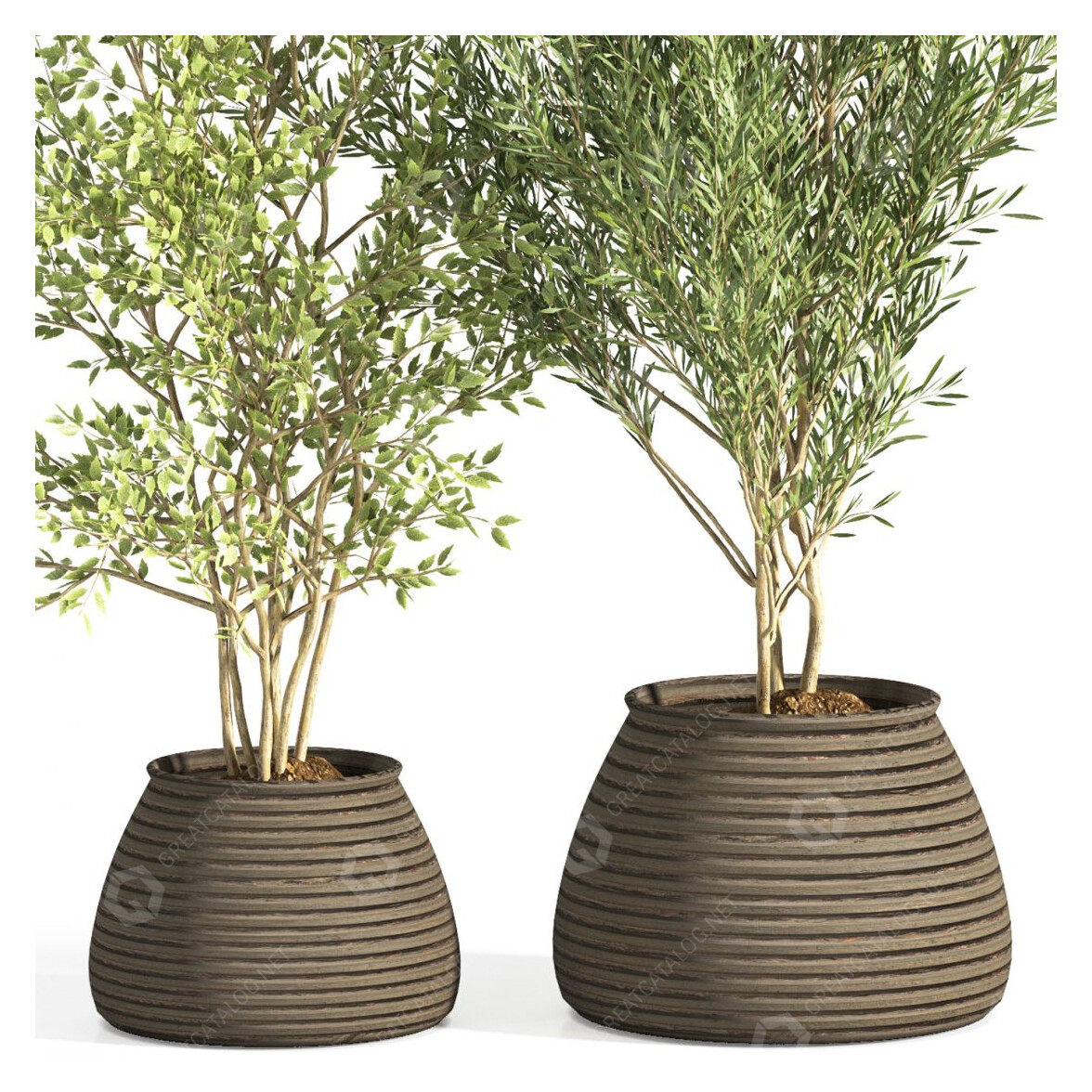 Potted Plants Indoor Stant 01 3D model・Download 3D models