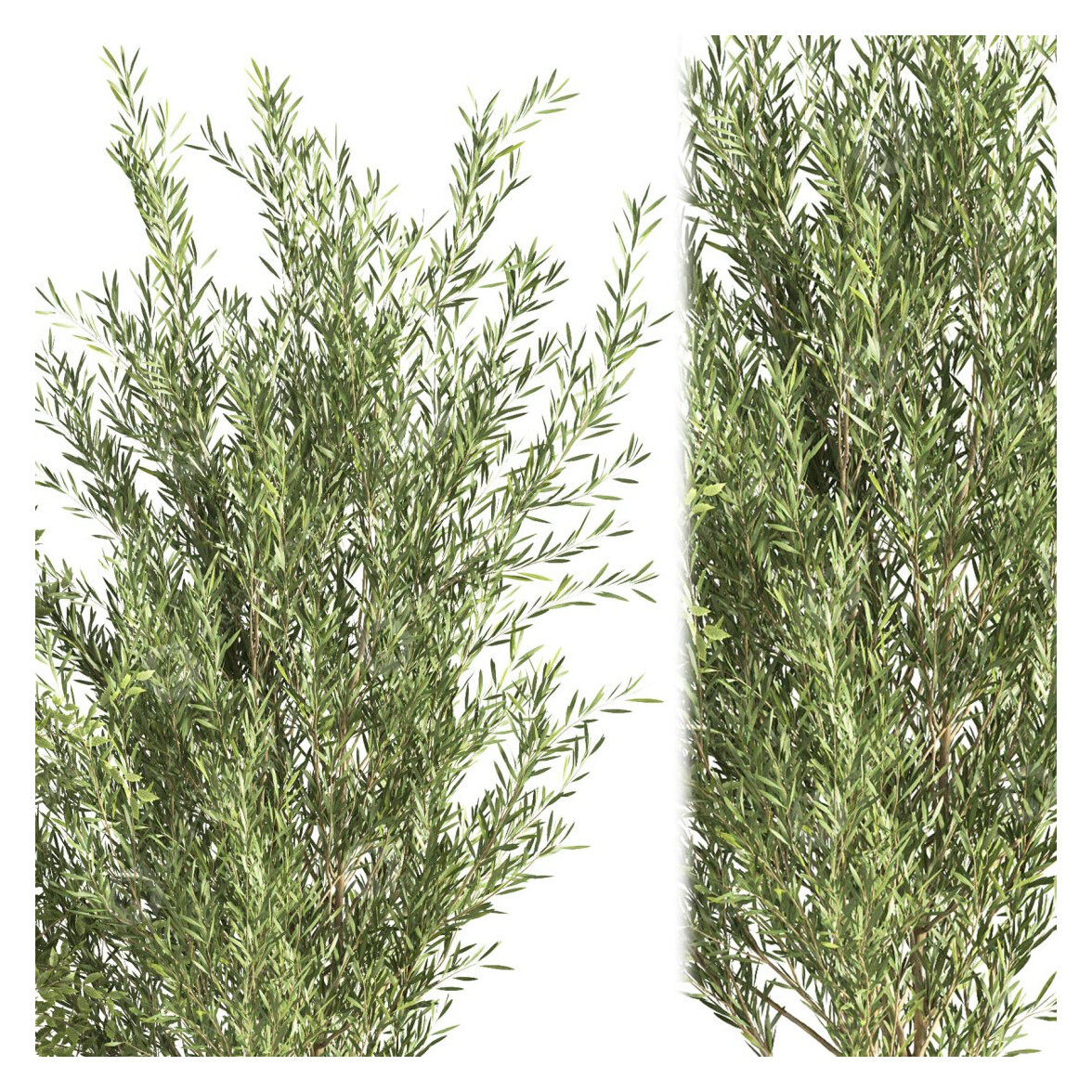 Potted Plants Indoor Stant 01 3D model - GreatCatalog 47916