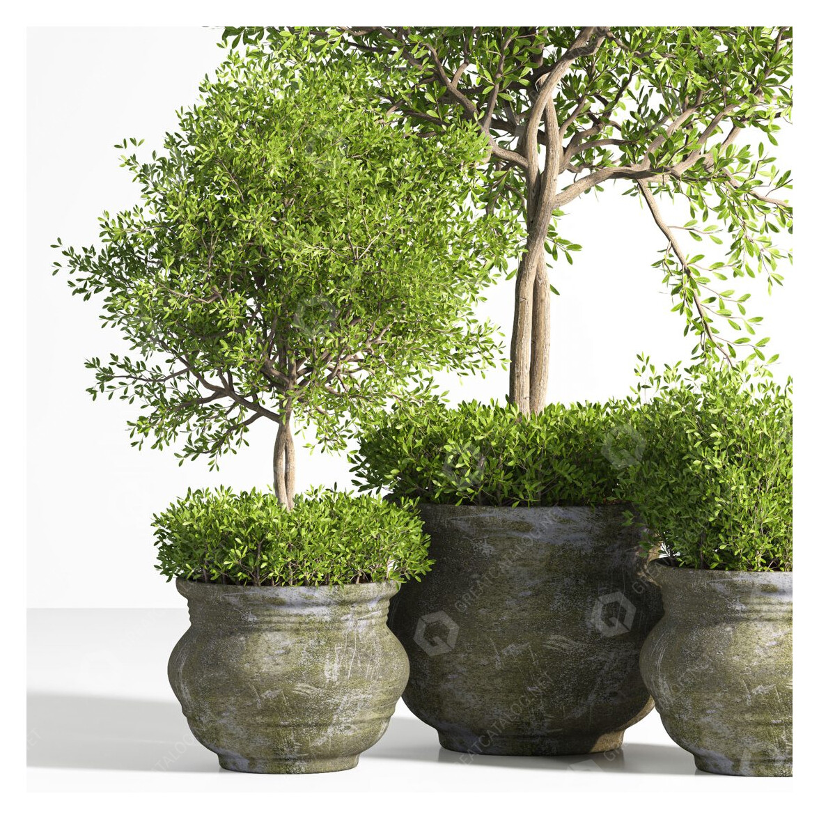 Potted Plants Indoor Stand 07 3D model - GreatCatalog 47950