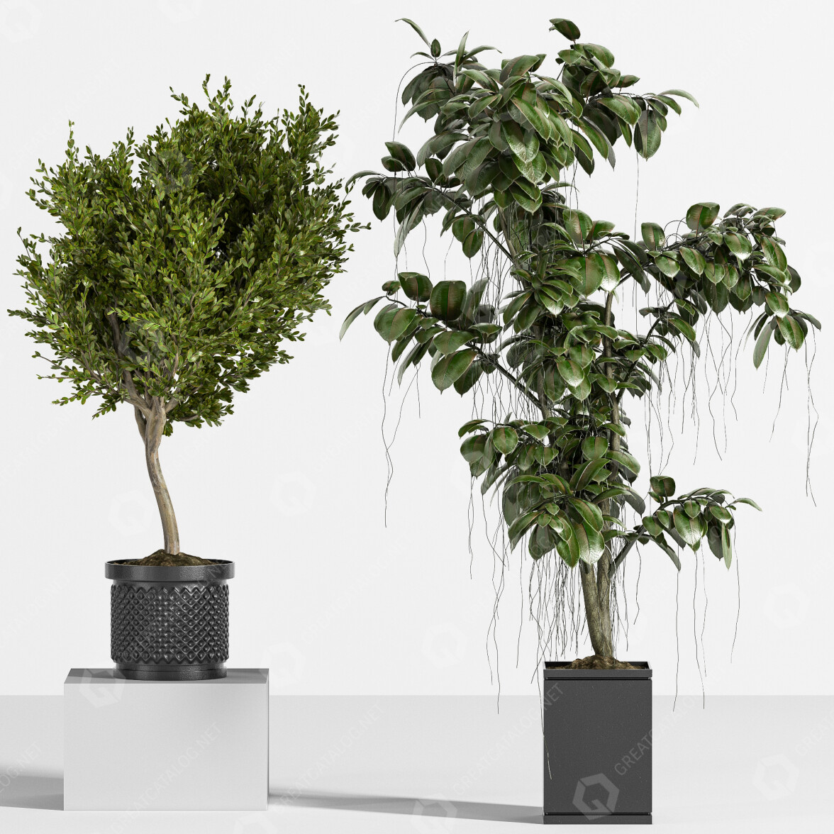 Potted Plant Indoor Set 09 3D model - GreatCatalog 48013