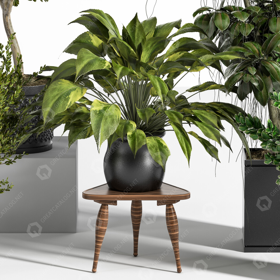 Potted Plant Indoor Set 09 3D model - GreatCatalog 48013