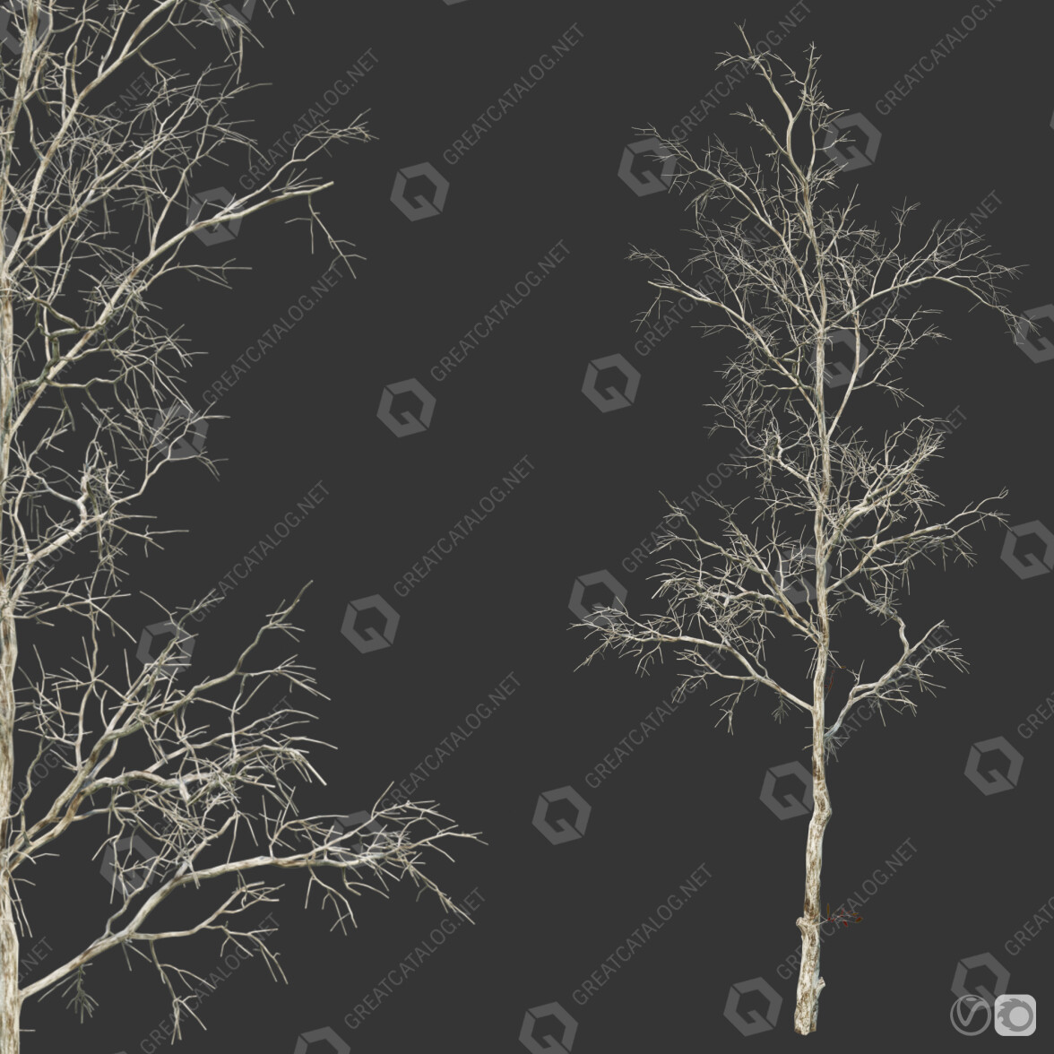 Trees Four Seasons 3D model・Download 3D models・Great Catalog ...