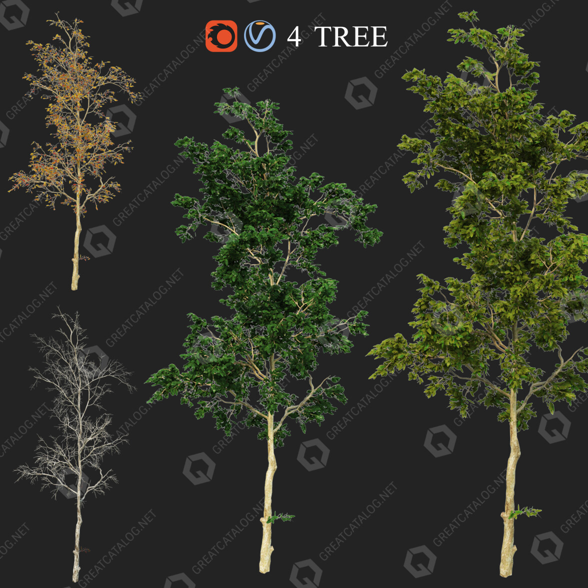 Trees Four Seasons 3D model・Download 3D models・Great Catalog ...