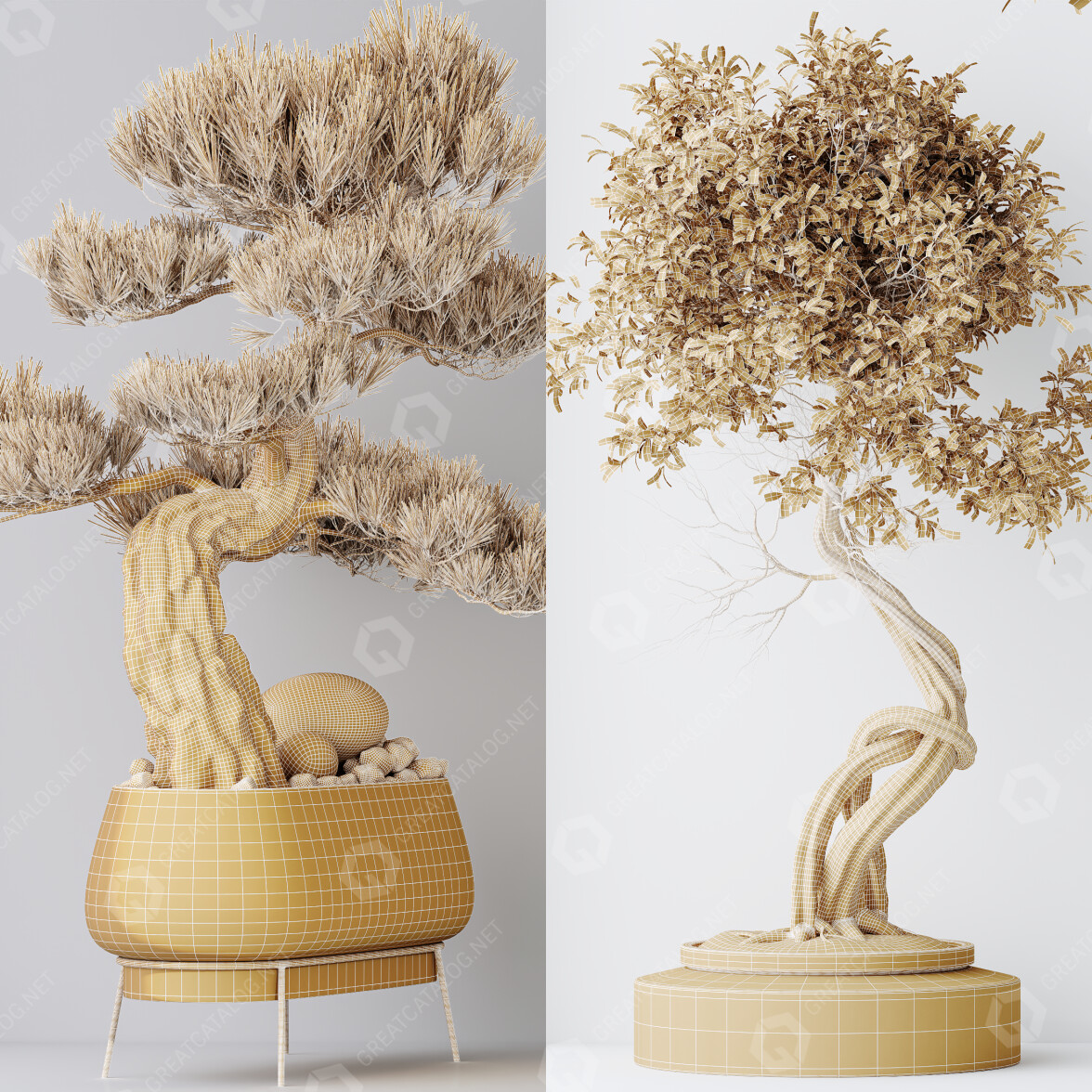 Bonsai Trees Indoor Set 15 3D model - GreatCatalog 48229