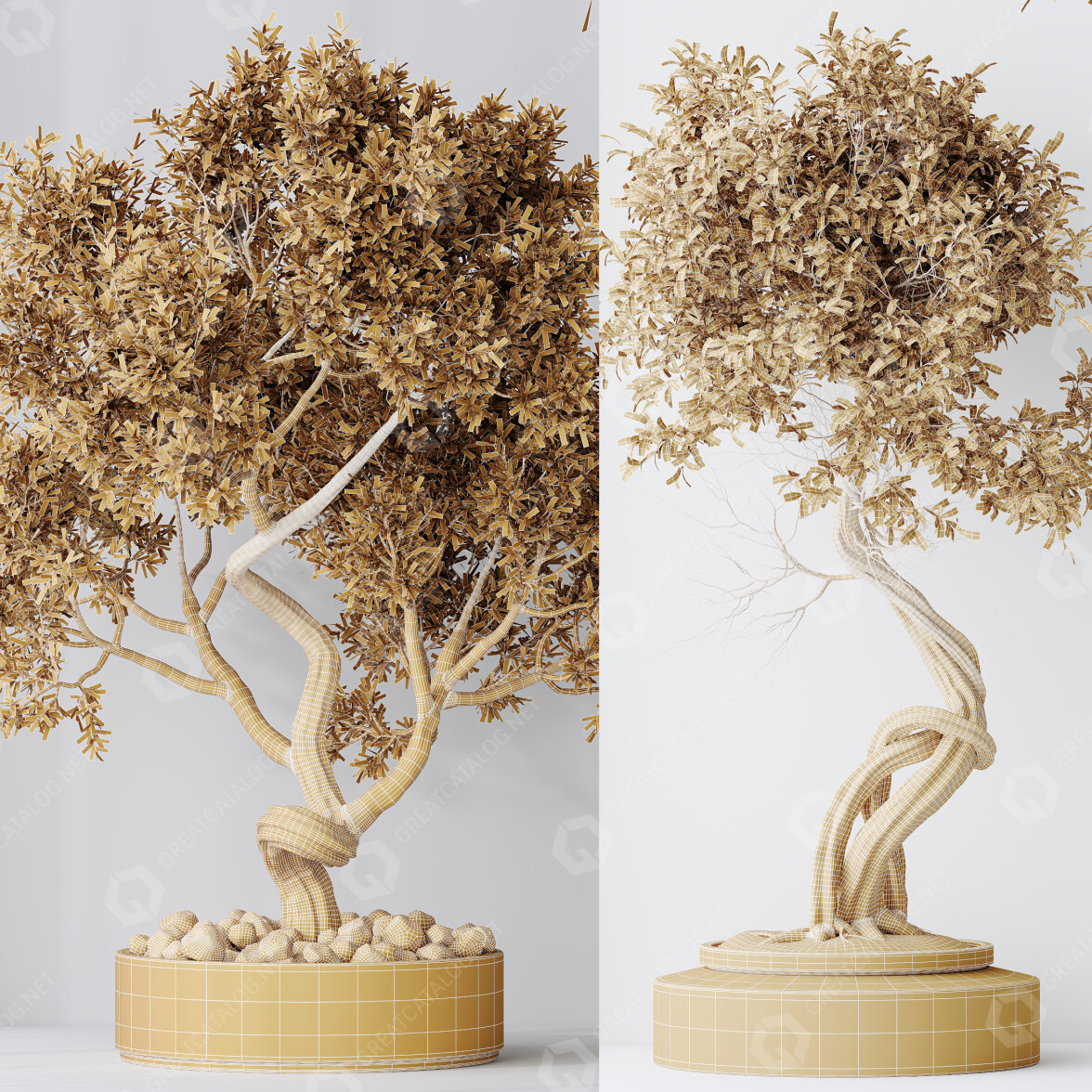 Bonsai Trees Indoor Set 16 3D model - GreatCatalog 48230