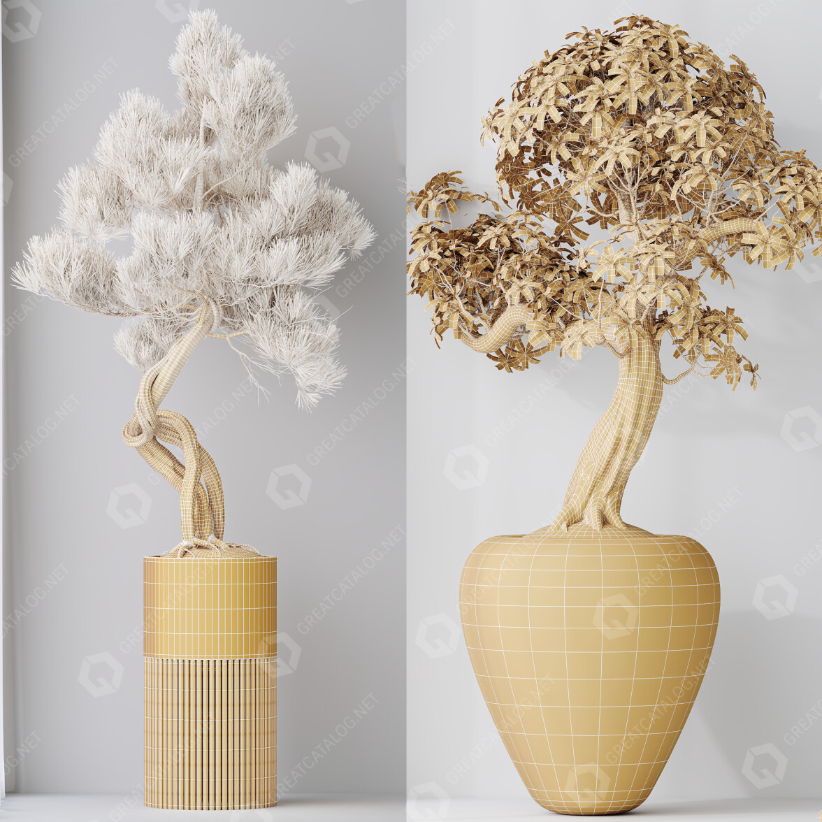 Bonsai Trees Indoor Set 23 3D model - GreatCatalog 48249