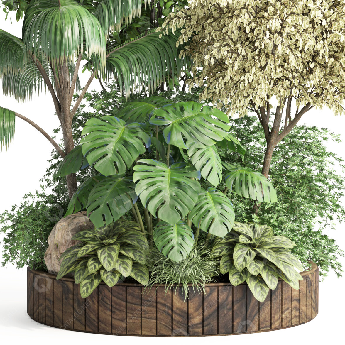Trees and Bushes Indoor Set 015 Collection 3D model - GreatCatalog 48389